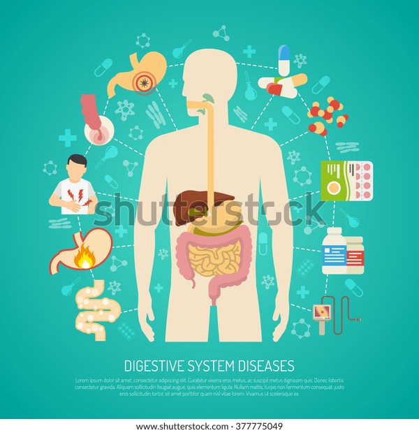 Digestive System Diseases Human Body On Stock Vector (Royalty Free ...