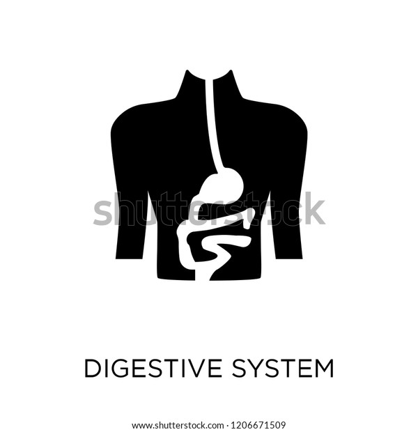 Digestive System Icon Digestive System Symbol: vector de stock (libre ...