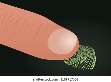Digital Fingerprint Vector Illustration Stock Vector (Royalty Free ...