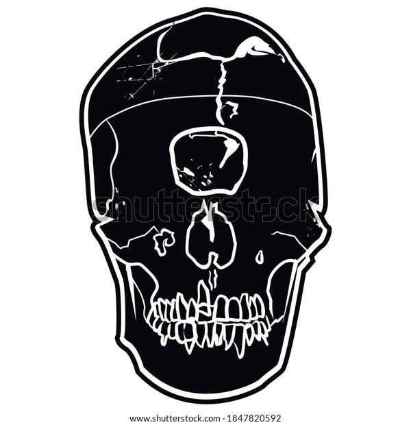 Digital Hand Draw Illustration Skull Isolated Stock Vector (Royalty ...