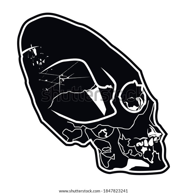 Digital hand draw illustration of skull isolated on white background ...