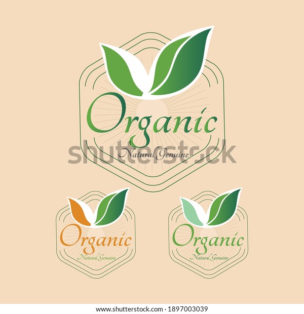 Digital Label Design Print Template Stock Vector (Royalty Free ...