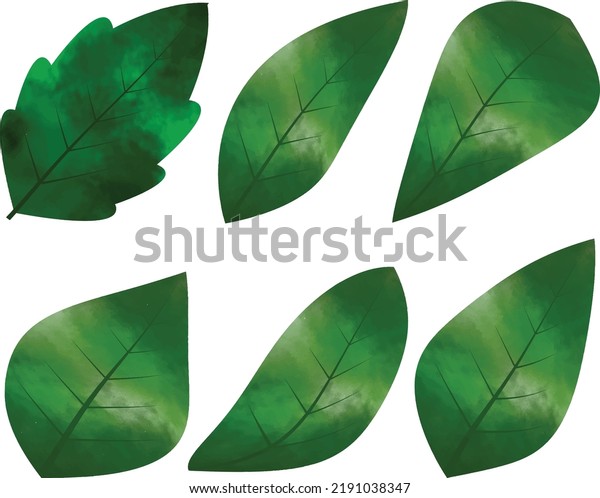 Digital Watercolor Leaf Vector Illustration Stock Vector (Royalty Free ...