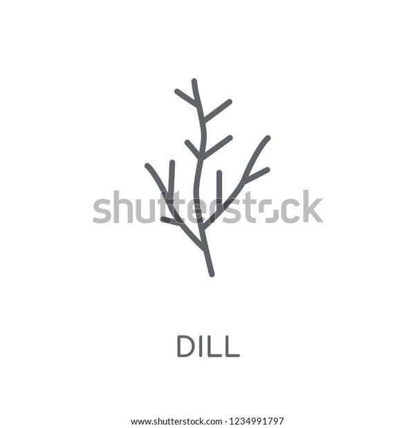 Dill Linear Icon Modern Outline Dill Stock Vector (Royalty Free ...