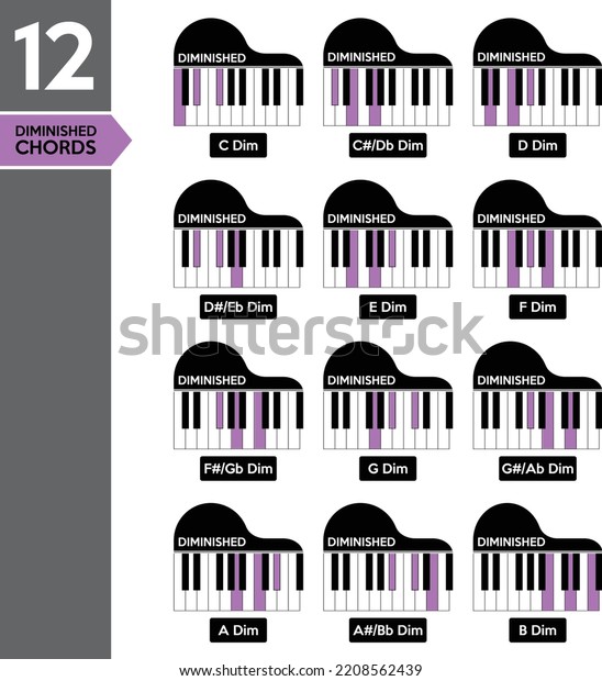 Diminished Piano Chords Beginners Stock Vector (Royalty Free ...