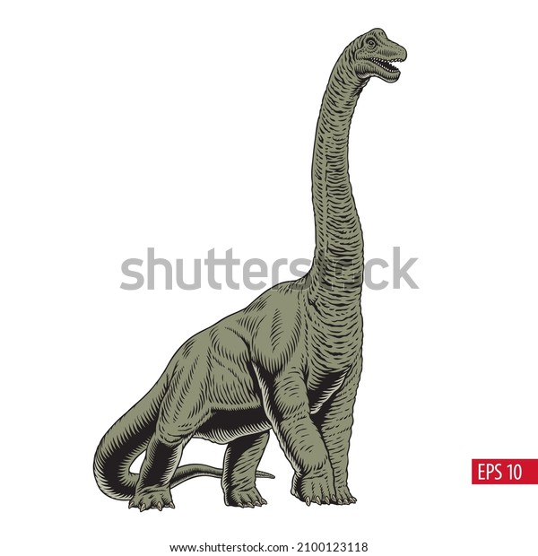 Dinosaur Isolated Brachiosaurus Brontosaurus Comic Style 库存矢量图（免版税 ...