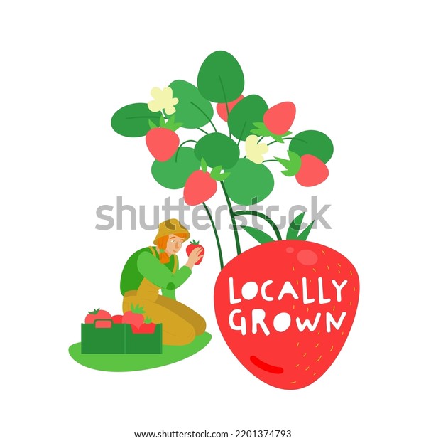 Direct Farm Premium Quality Locally Grown Stock Vector (Royalty Free ...