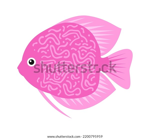 Discus Aquarium Fish Vector Illustration Stock Vector (Royalty Free ...