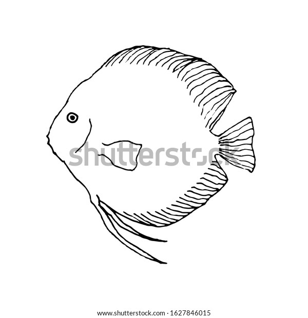 Discus Fish Hand Drawing Sketch Black Stock Vector (Royalty Free ...