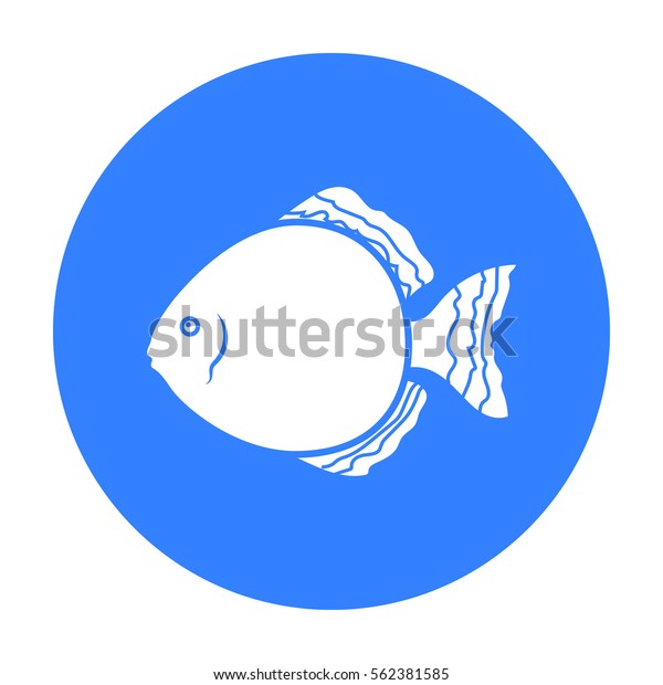 Discus Fish Icon Black Singe Aquarium Stock Vector (Royalty Free ...