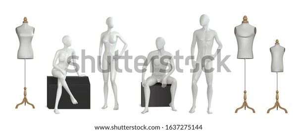 Display Cases Showcases Full Body Sitting Stock Vector (Royalty Free ...
