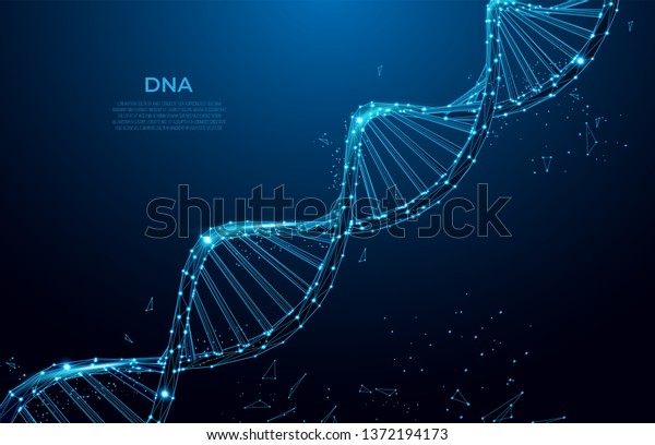35,826 Dna Model Stock Vectors, Images & Vector Art | Shutterstock