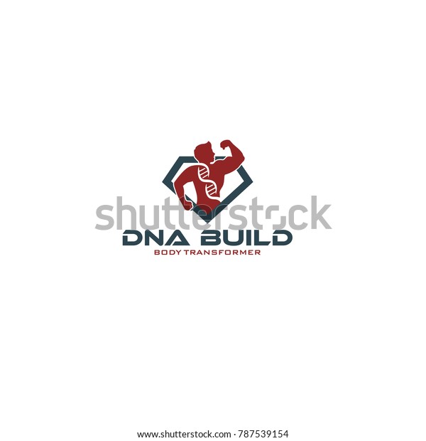 Dna Build Body Transformation Logo Stock Vector (Royalty Free ...