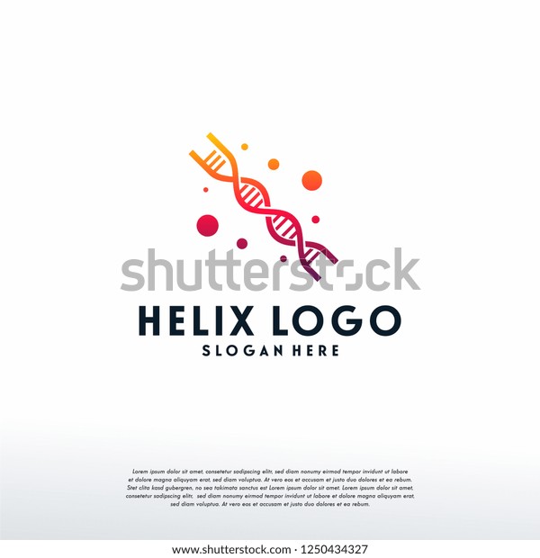 Dna Helix Logo Designs Template Modern Stock Vector (Royalty Free ...