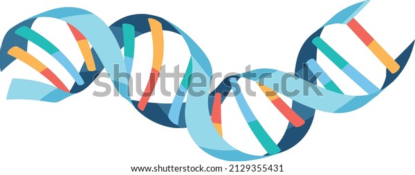 흰색 배경 그림에서 분리된 DNA helix 스톡 벡터(로열티 프리) 2129355431 | Shutterstock