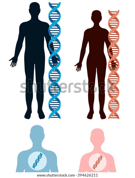 Dna Human Body Stock Vector (Royalty Free) 394626211 | Shutterstock