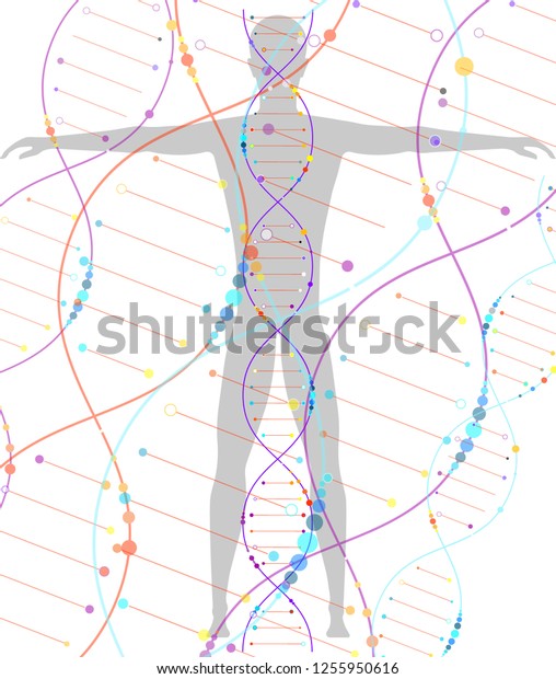 Dna Man On White Background Study Stock Vector (Royalty Free) 1255950616