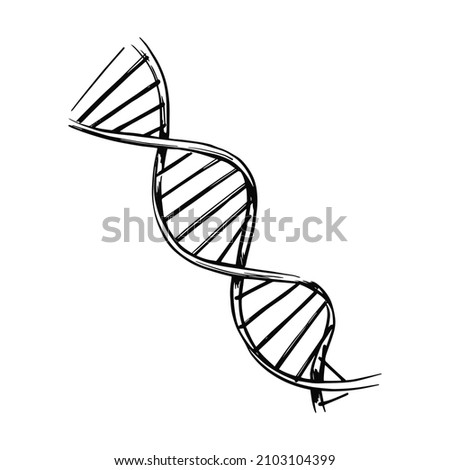 Dna Strand Drawing | Free download on ClipArtMag