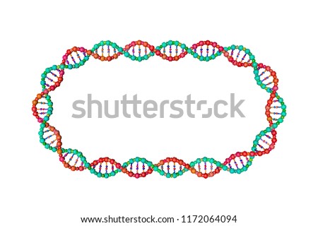 DNA Strand Frame Isolated On White Stock Vector (Royalty Free ...