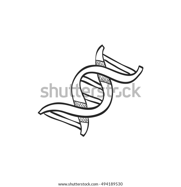 Dna Strands Icon Doodle Sketch Lines Stock Vector Royalty Free