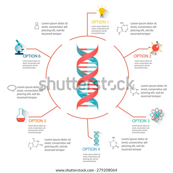 Dna Structure Infographic Infographics Science Research Stock Vector ...
