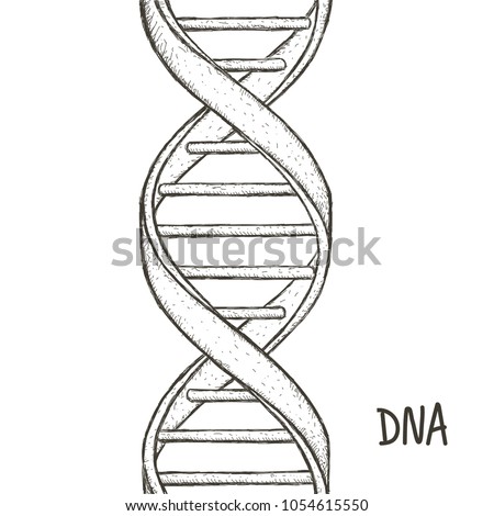 Dna Symbol Dna Helix Symbol Gene Stock Vector (Royalty Free) 1054615550 ...