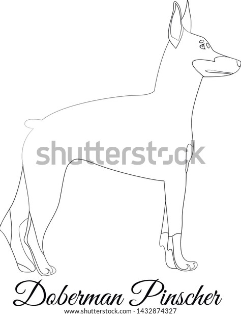 Doberman Pinscher Dog Outline Vector Coloring Stok Vektör (Telifsiz) 1432874327 | Shutterstock