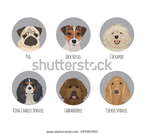 Dog Animal Pet Round Circle Portrait Stock Vector (Royalty Free) 699485983
