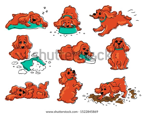 Dog Behavior Drawing Set Cartoon Orange Stock Vector (Royalty Free ...