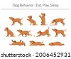 129,780 Dogs Paw Cartoon Royalty-Free Images, Stock Photos & Pictures ...