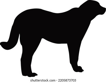 Dog Body Silhouette Vector Stock Vector (Royalty Free) 2205873703 ...