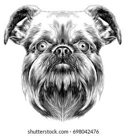 140 Brussels griffons Stock Vectors, Images & Vector Art | Shutterstock