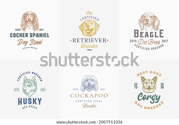 Dog Breeds Badges Logo Templates Collection Stock Vector (Royalty Free ...