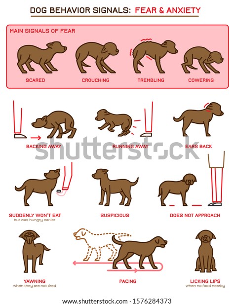 Dog Fearful Behavior Icons Set Domestic Stock Vector (Royalty Free ...