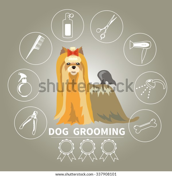 Dog Grooming Icons Vector Set Tools Stock Vector (Royalty Free ...