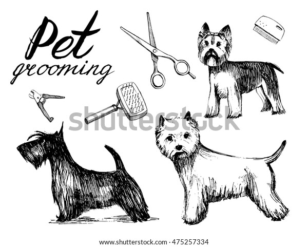 Dog Grooming Set Hand Drawn Vector Stock Vector (Royalty Free) 475257334