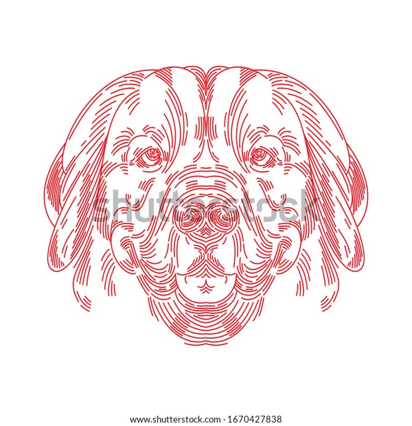 Dog Head Line Art Vector Illustration Stock Vector (Royalty Free ...