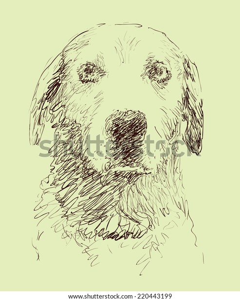 Dog Head Portrait Realistic Drawing Vector Stock Vector (Royalty Free ...