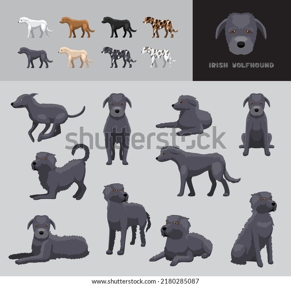 Dog Irish Wolfhound Cartoon Vector Illustration Stock Vector (Royalty ...