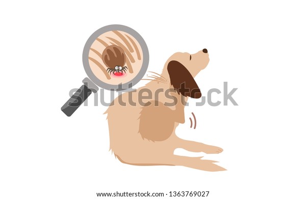Dog Itching Due Dog Tick On Stock Vector (Royalty Free) 1363769027