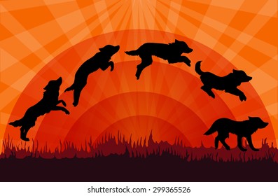 1 398 рез. по запросу «Dog agility silhouette» — изображения, стоковые ...