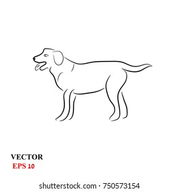 Dog Line Drawing Stock Vector (Royalty Free) 750573154 | Shutterstock