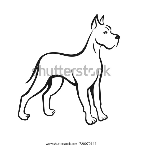 Dog Line Drawing Great Dane Can Stock Vector (Royalty Free) 720070144