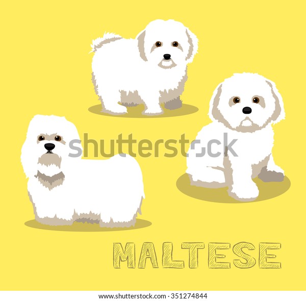 Dog Maltese Cartoon Vector Illustration 스톡 벡터(로열티 프리) 351274844