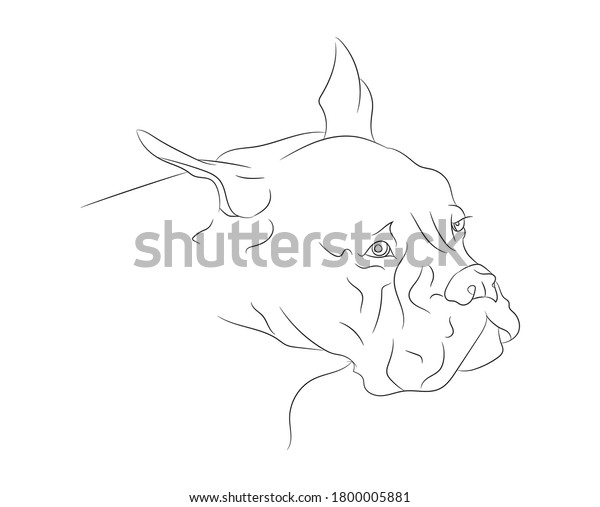 Dog Portrait Vector Illustration Line Drawing Stock Vector (Royalty ...