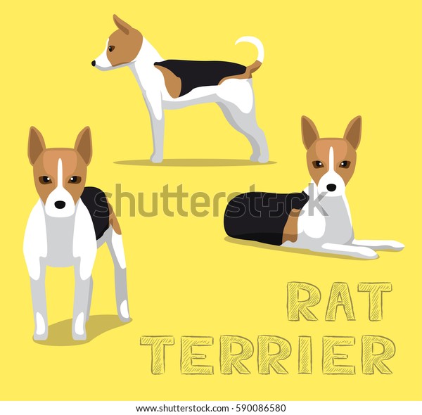 Dog Rat Terrier Cartoon Vector Illustration