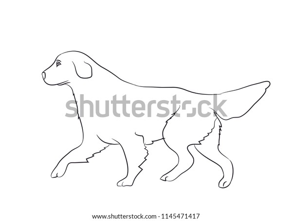 Dog Running Lines Vector White Background Stock Vector (Royalty Free ...