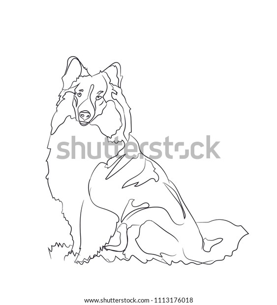 Dog Sitting Lines Vector White Background Stock Vector (Royalty Free ...