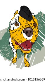 Dog Soldier Hand Drawn Vector Fun Stock Vector (Royalty Free ...