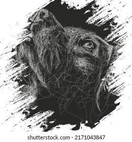 Dog Vector Sketch Illustration Scribble Art Stock Vector (Royalty Free ...